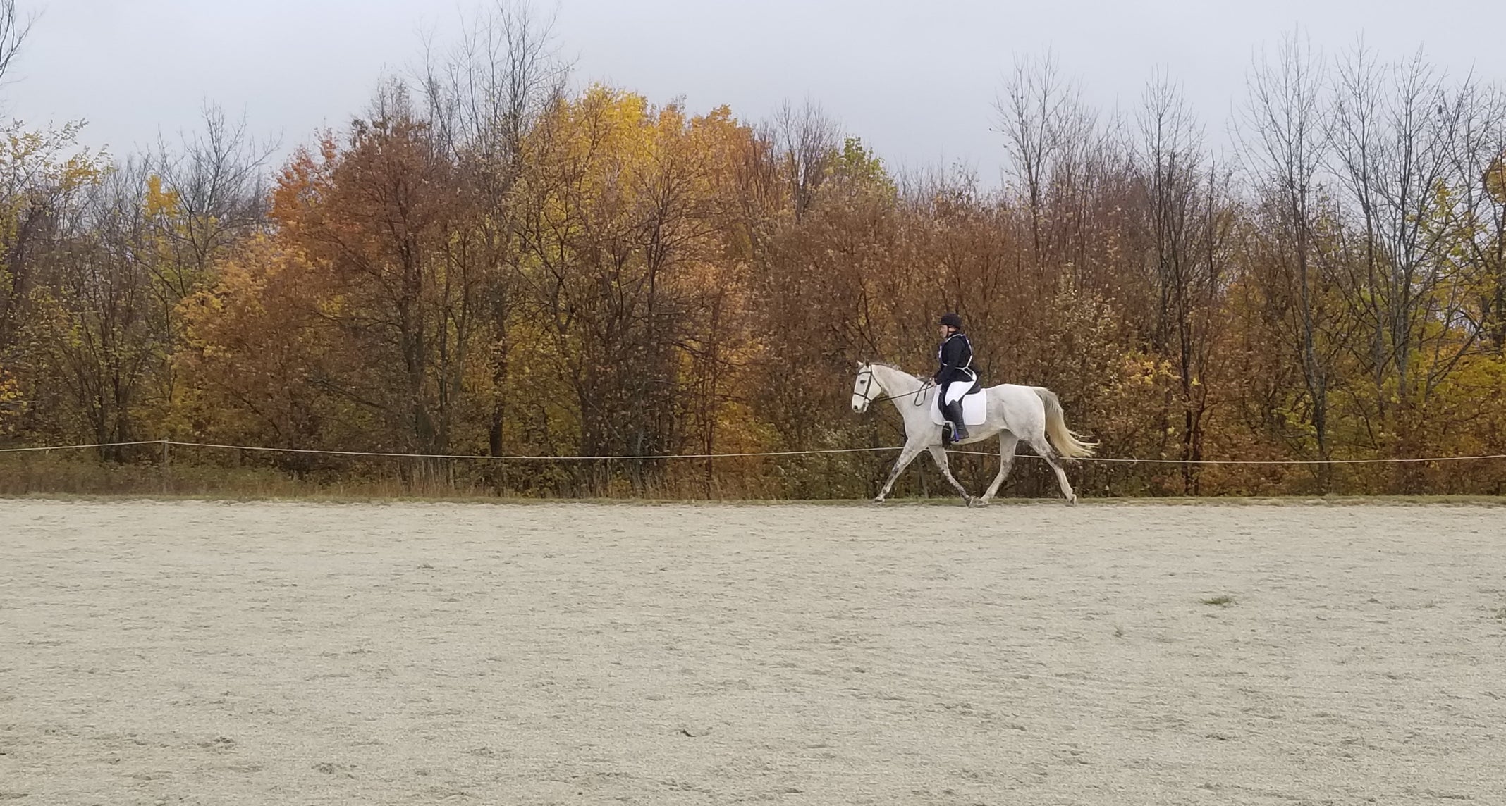 Plus Size Rider Canada - Plus Size Equestrian Riding Attire Canada